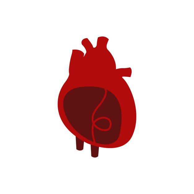 Canal Arterial Fetal Complete Atrioventricular Canal Defect (CAVC)